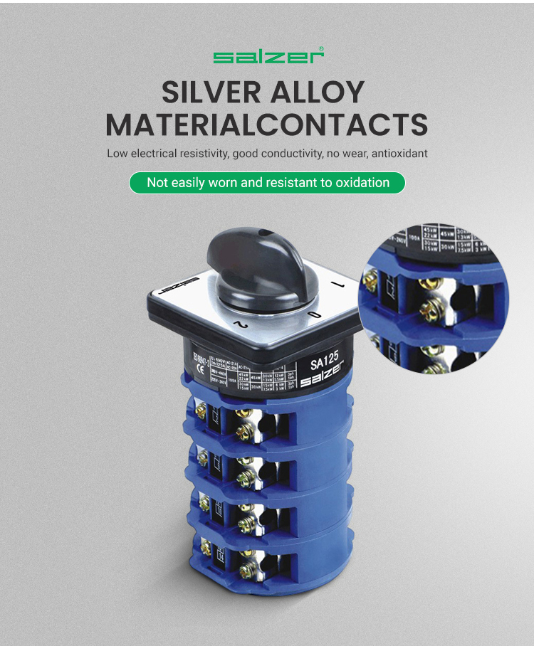 Salzer Sa22-ag21 No Push Button Selector Switch With Key, 2 Position ...
