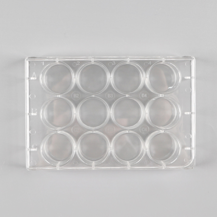 12 well tissue culture plate China Manufacturers Suppliers Factory Exporter