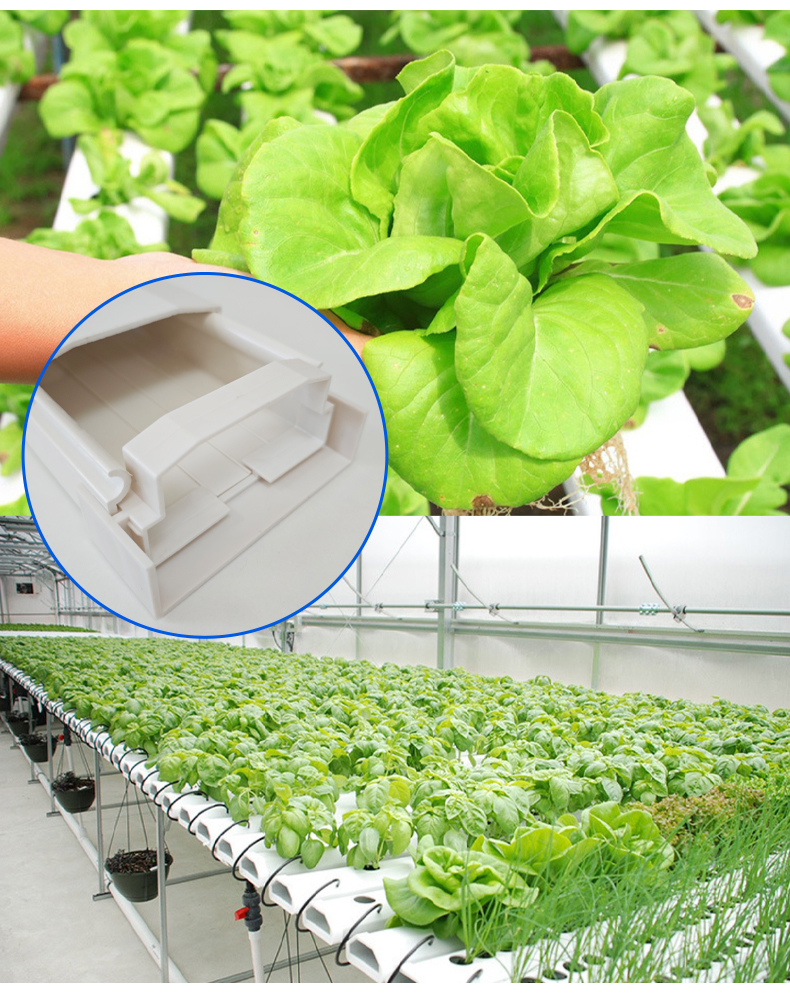 China Factory's Innovative Super Farm Hydroponic Nft Growing System ...