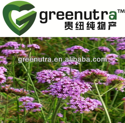 Verbena Officinalis Extract, High Quality Verbena Officinalis Extract ...