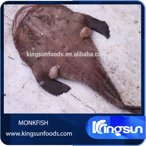 Frozen Monkfish Whole Round Gutted, High Quality Frozen Monkfish Whole ...