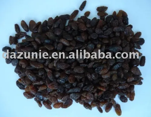 Thompson Seedless Raisins, High Quality Thompson Seedless Raisins on ...