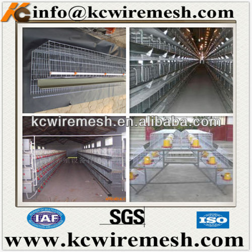 Battery Cages Laying Hens, High Quality Battery Cages Laying Hens on Bossgoo.com