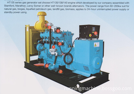 Natural Gas Electric Generator And Biogas Generator, High Quality ...