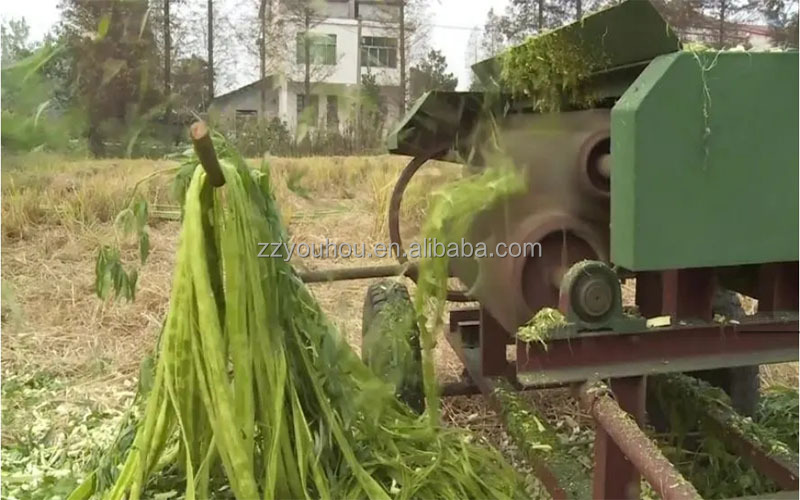 Decorticator Fiber Separator Machine: Efficient Equipment For ...