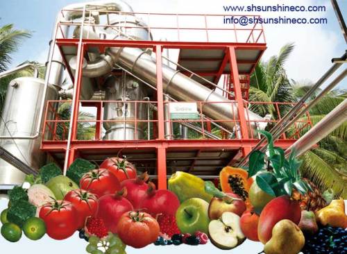Tomato Paste Plant/tomato Paste Processing Factory, High Quality Tomato ...