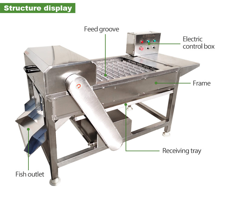 Tuna Deheading And Tail Cutting Machine, High Quality Tuna Deheading ...