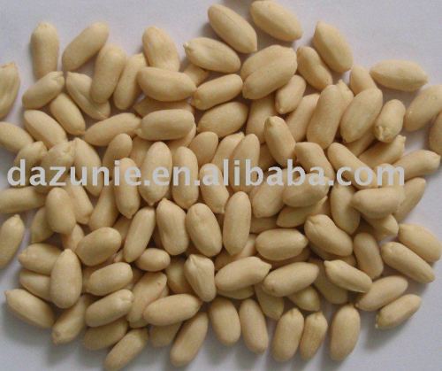 Blanched Peanut Kernels, High Quality Blanched Peanut Kernels on ...