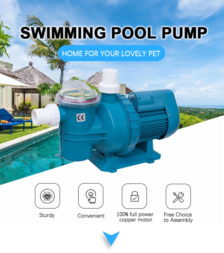 High Quality Large Portable Pool Filter And Pump With Competitive Price ...
