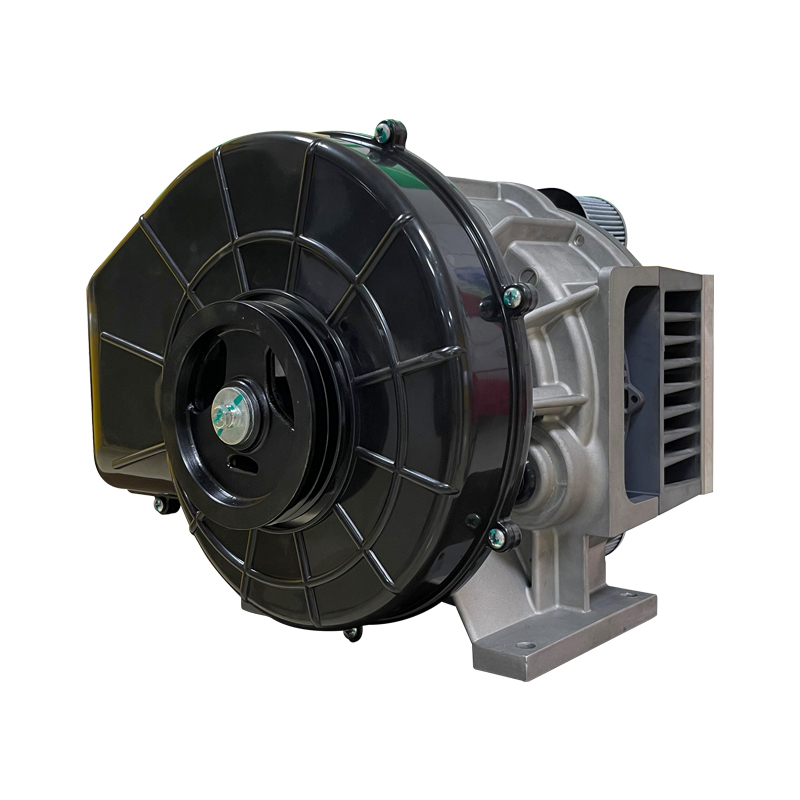 Silent Oil-free Scroll Air Compressor With Screw Head, High Quality ...