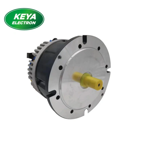 215 series 48v 5kw brushless DC motor China Manufacturers Suppliers ...