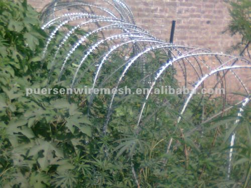 450 Mm Concertina Razor Wire, High Quality 450 Mm Concertina Razor Wire ...