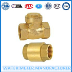 Brass Swing Check Valve Water Meter, High Quality Brass Swing Check ...