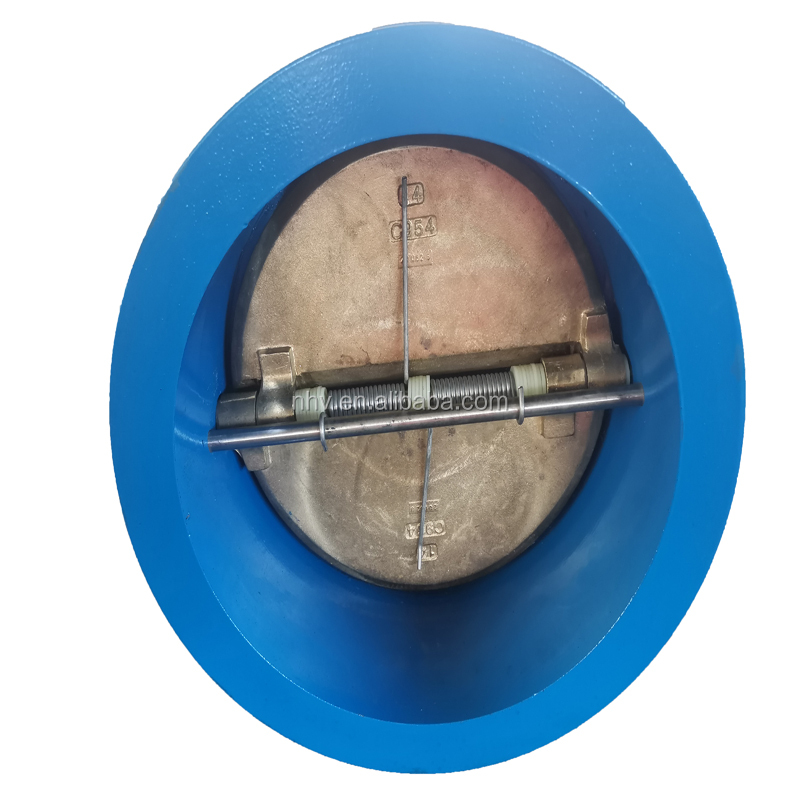 14 Inch Wafer Type Spring Loaded Cast Iron Check Valve With Al-bronze ...
