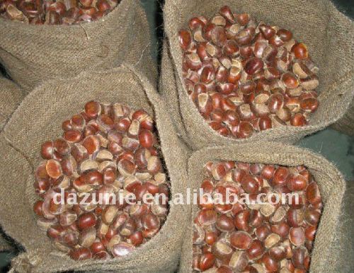 Fresh Chinese Chestnut, High Quality Fresh Chinese Chestnut on Bossgoo.com