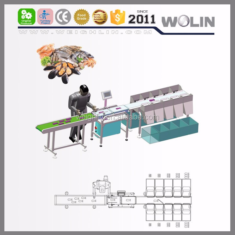Auto Dynamic Online Weight Grading And Sorting System For Fresh Frozen ...