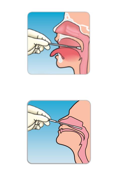 Disposable Sampler (Transport Media & Swabs)