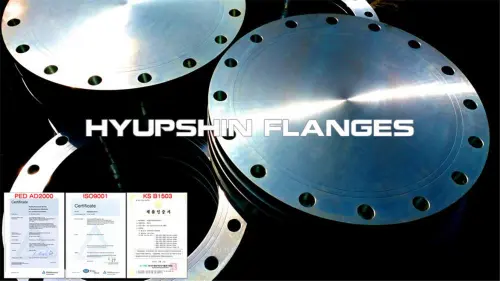 Flat Face Blind Blff En1092-1 Type 05 Flange, High Quality Flat Face ...