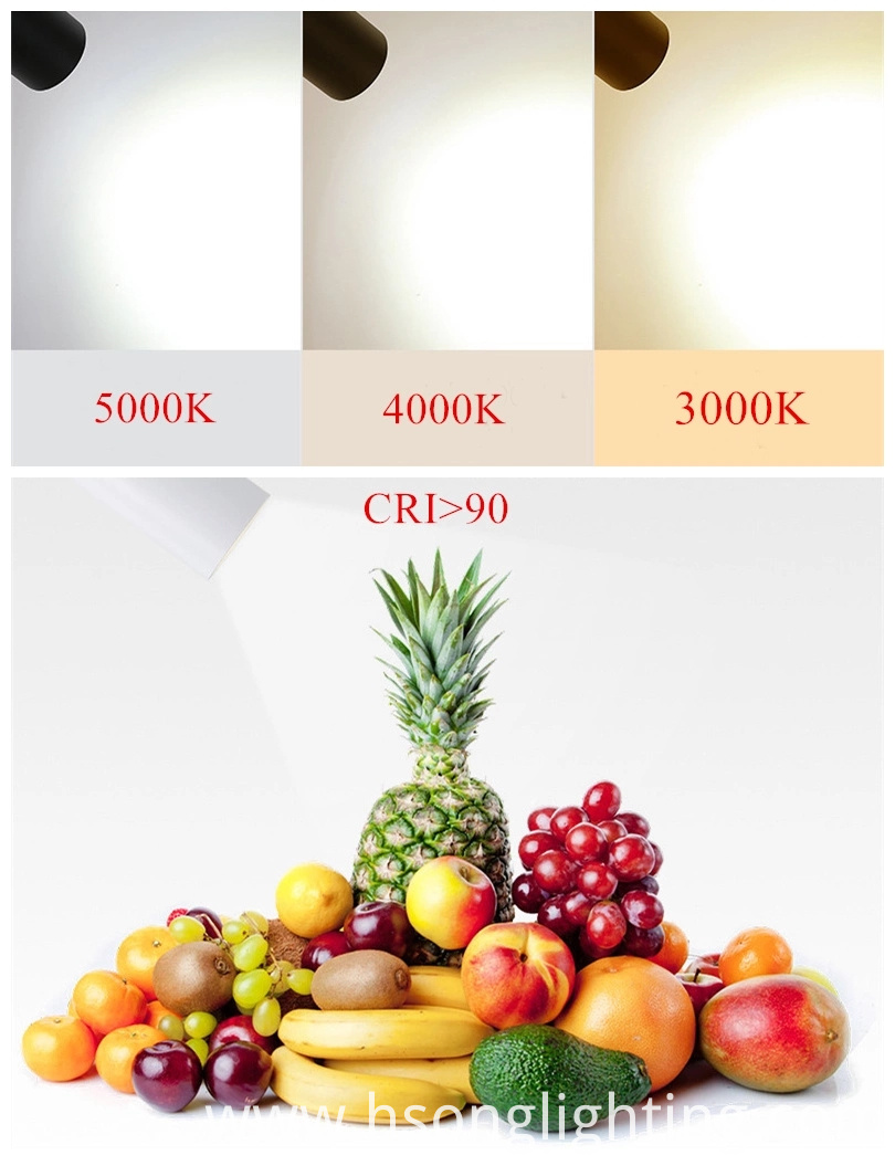 Ra90 Led Spotlight Triac 10w Full Watt, High Quality Ra90 Led Spotlight ...