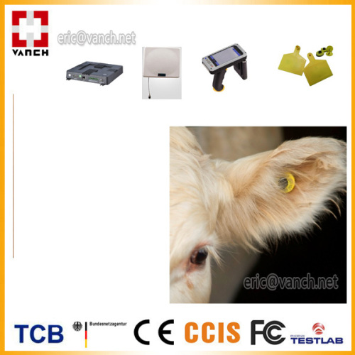 Uhf Rfid Encoder Reader For Encoding Cattle Rfid Tag, High Quality Uhf ...