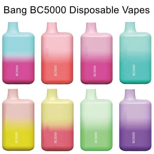 Bang Bc5000 Rechargeable Disposable Vape Device, High Quality Bang ...