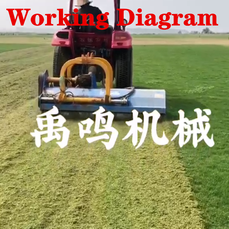 A New Flail Mower Installed On Best-selling Agricultural Tractor: Dual ...