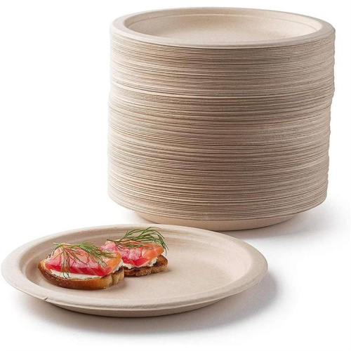 Bagasse Disposable Plates Paper Pulp Bio Party Dish, High Quality ...