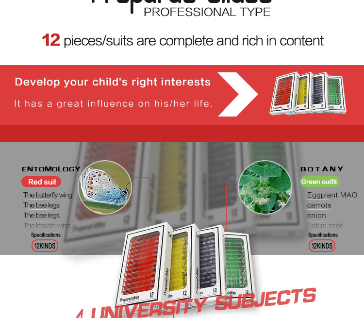 12 Piece Toy Microscope Slide Set - Biological Slides For Children ...