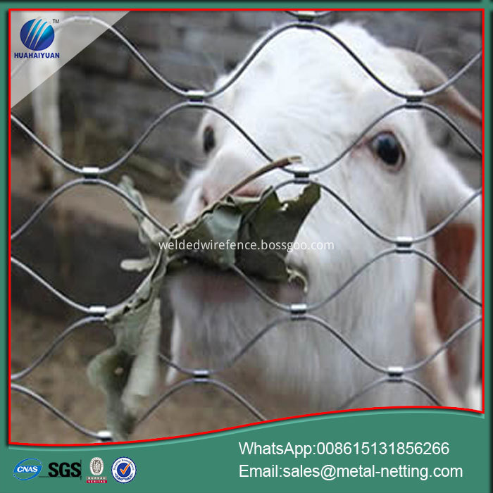 Animal Mesh Netting Sus304 Wire Rope Net, High Quality Animal Mesh ...