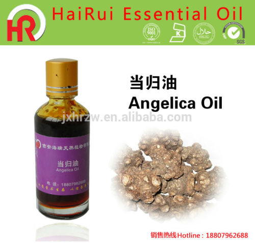 Natural And Pure Angelica Root Oil, High Quality Natural And Pure ...
