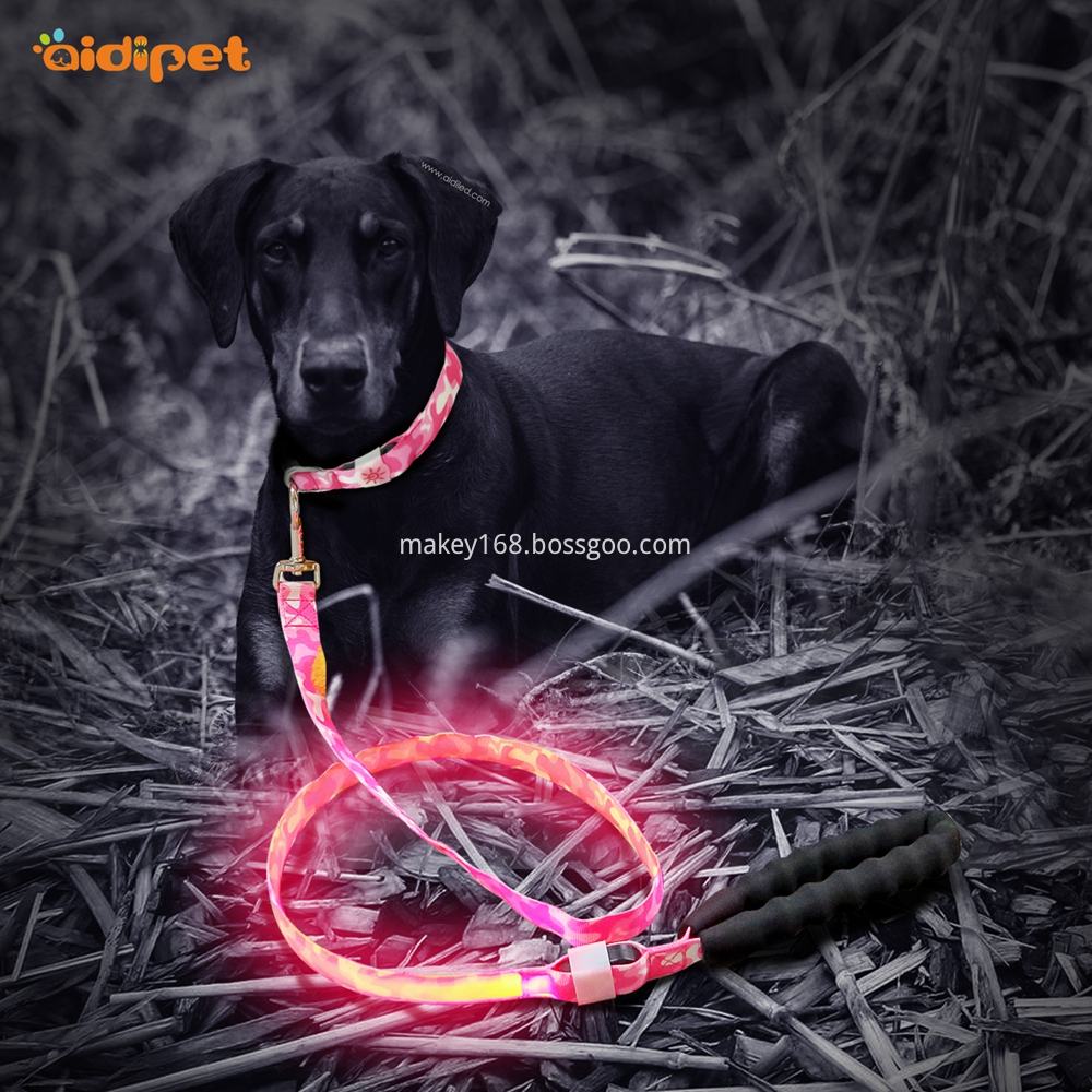 Nylon Rechargeable Glow Safety Led Dog Lead, High Quality Nylon ...