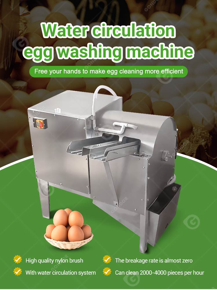 Portable Brush Roller Skin Shaping Pump Cleaning Machine For Egg And ...