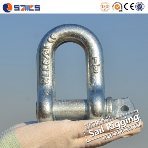Lifting Chain G210 D Shackle, High Quality Lifting Chain G210 D Shackle ...