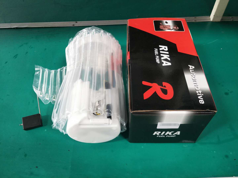 Fuel Pump Assembly For Peugeot 206, Citroen Berlingo, Xsara - 152581 ...
