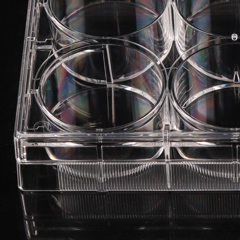 Non-Treated 6 well Cell Culture Plates China Manufacturer