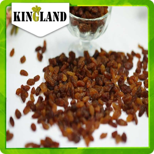 Jumbo Sultana Organic Dried Red Raisins, High Quality Jumbo Sultana ...