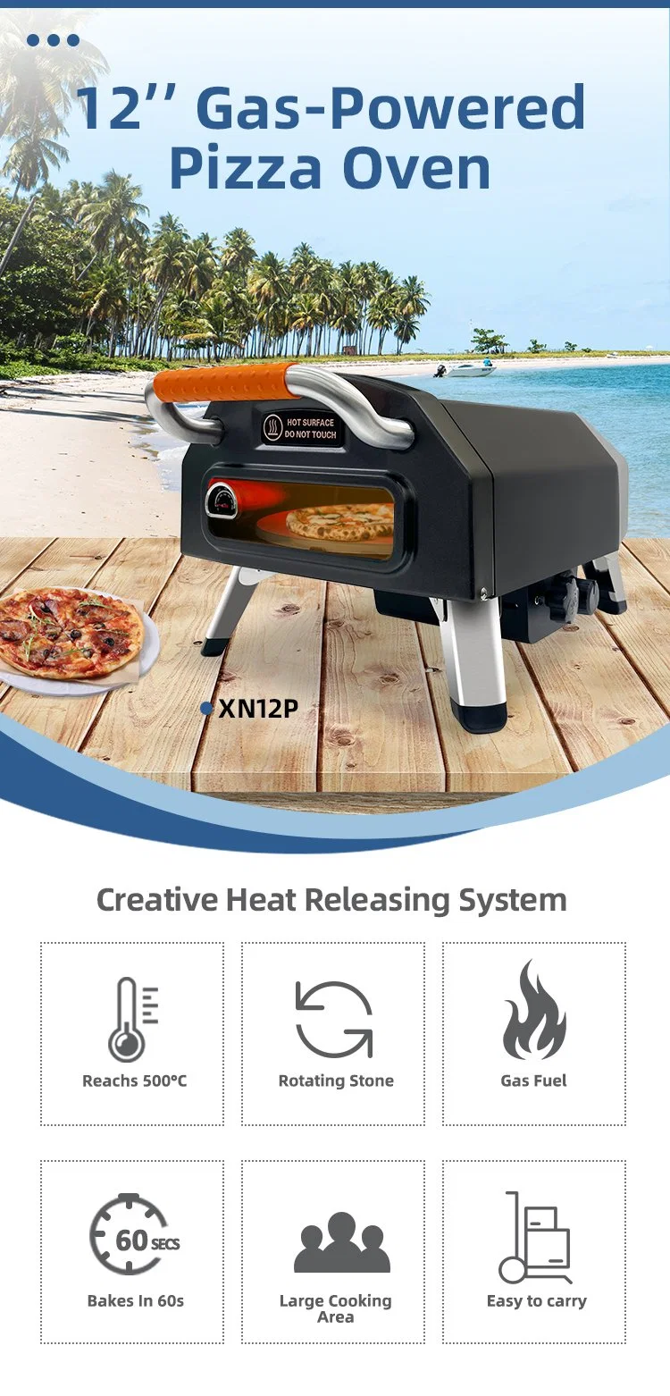 Outdoor Backyard 12 Inch Small Propane Gas Pizza Oven, High Quality ...