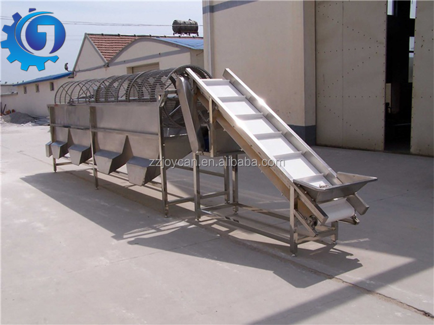 Automatic Walnut Sorting And Kernel Grading Machine, High Quality ...