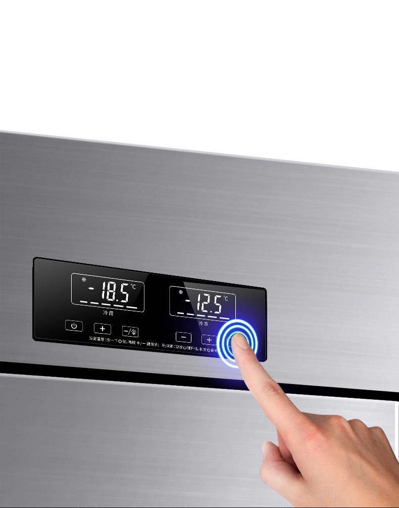 Digital Temperature Controller For Dual-zone Direct-cool Refrigerator ...