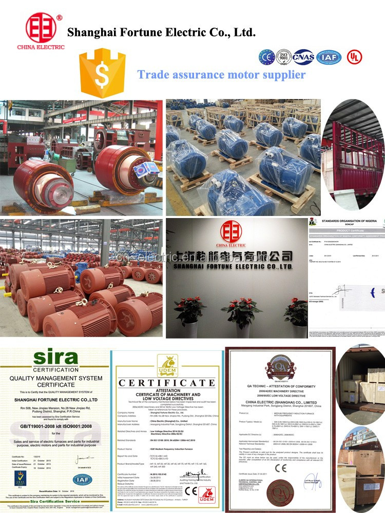 130 Kw Three-phase Crane Electric Ac Motor: Specifications And ...