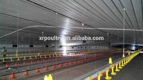Poultry Broiler House Design, High Quality Poultry Broiler House Design ...