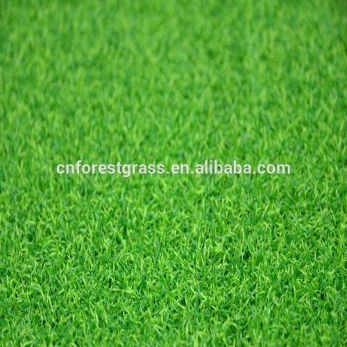 Nylon Putting Green Artificial Grass, High Quality Nylon Putting Green ...