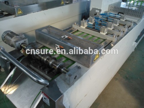 Fully Automatic Continuous Tension Vacuum Packaging Machine, High ...