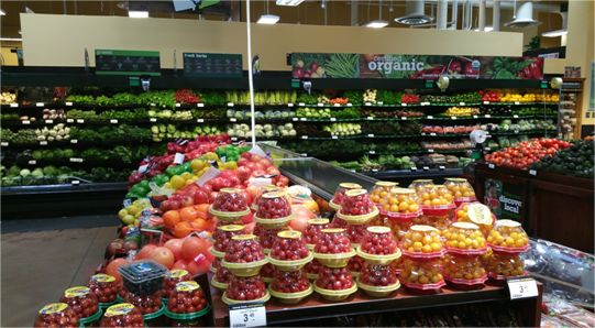 Acrylic Pusher Sheft from honyplastic Application in USA commercial ...