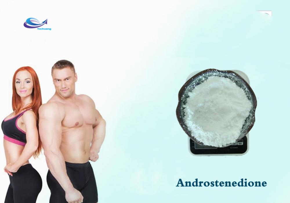 สำหรับเพาะกาย Prohormone Powder Androstenedione 63-05-8 คุณภาพสูง ...