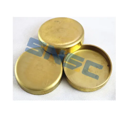 Howo Steyr Engine Parts Bowl Plug 9003989288, High Quality Howo Steyr ...