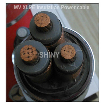 Iec Bs Vde Pvc Xlpe Lsoh Copper Cored Cts Power Cable Lv Control Cable ...