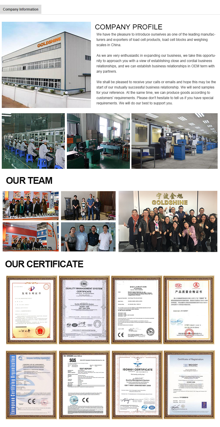 U-shaped Floor Scale For Pallet Profile Weighing (shape Weigh), High ...