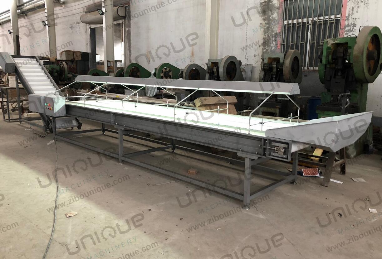 Plum Nuts And Palm Dates Inspection Conveyor For Fruits And Vegetables ...