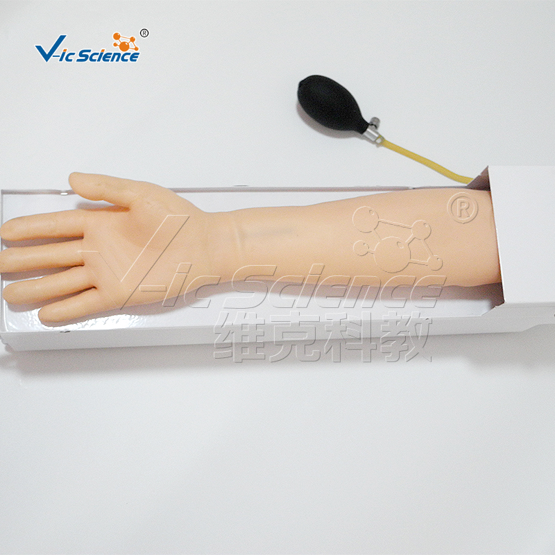 Arterial Arm Stick Kit Model, High Quality Arterial Arm Stick Kit Model ...
